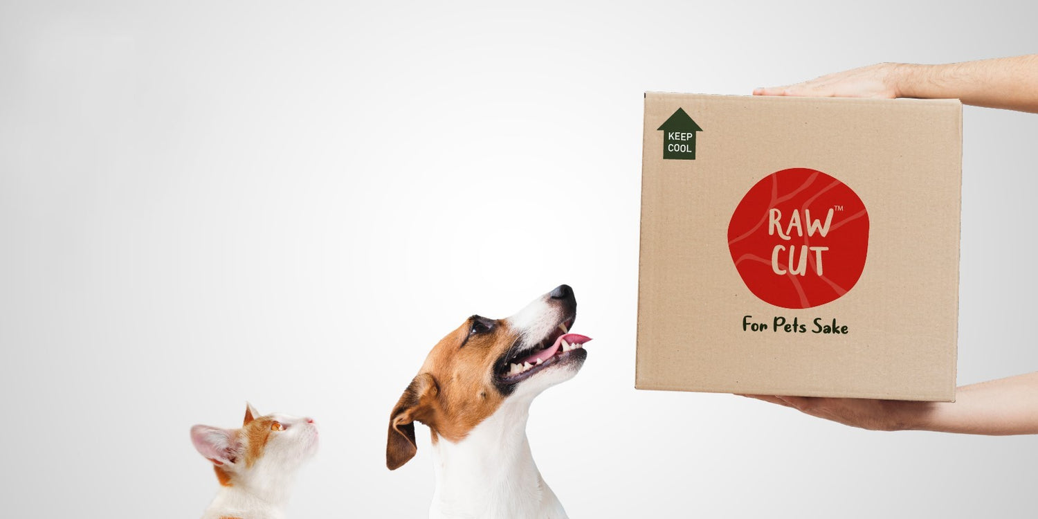 Raw Cut - Premium RAW Food For Dogs And Cats